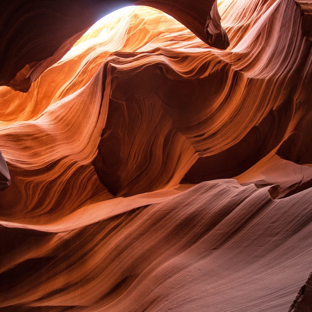 Science - College of Graduate Studies